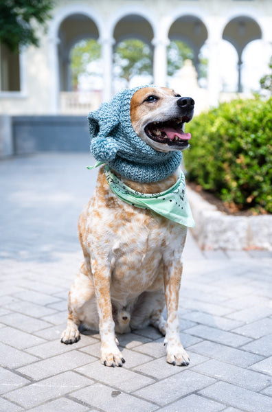 Gizmo Stocking Hoodie Hat (Knit) – Lion Brand Yarn