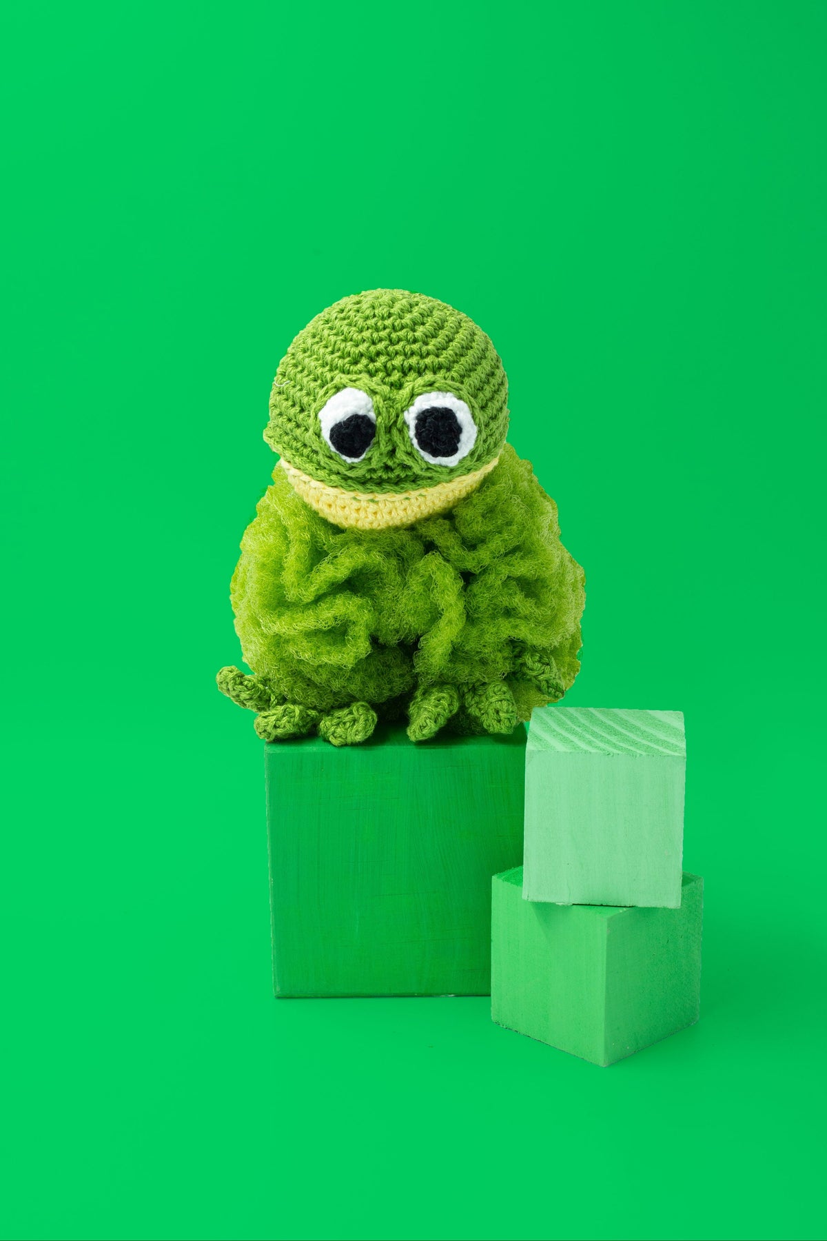 Frog Scrubby Buddy (Crochet) – Lion Brand Yarn