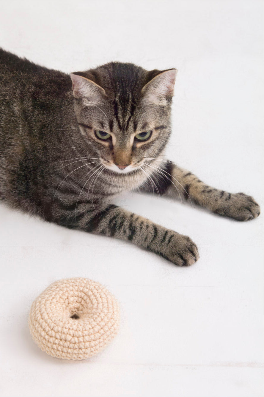 Kent Street Bagel Cat Toy (Crochet) – Lion Brand Yarn