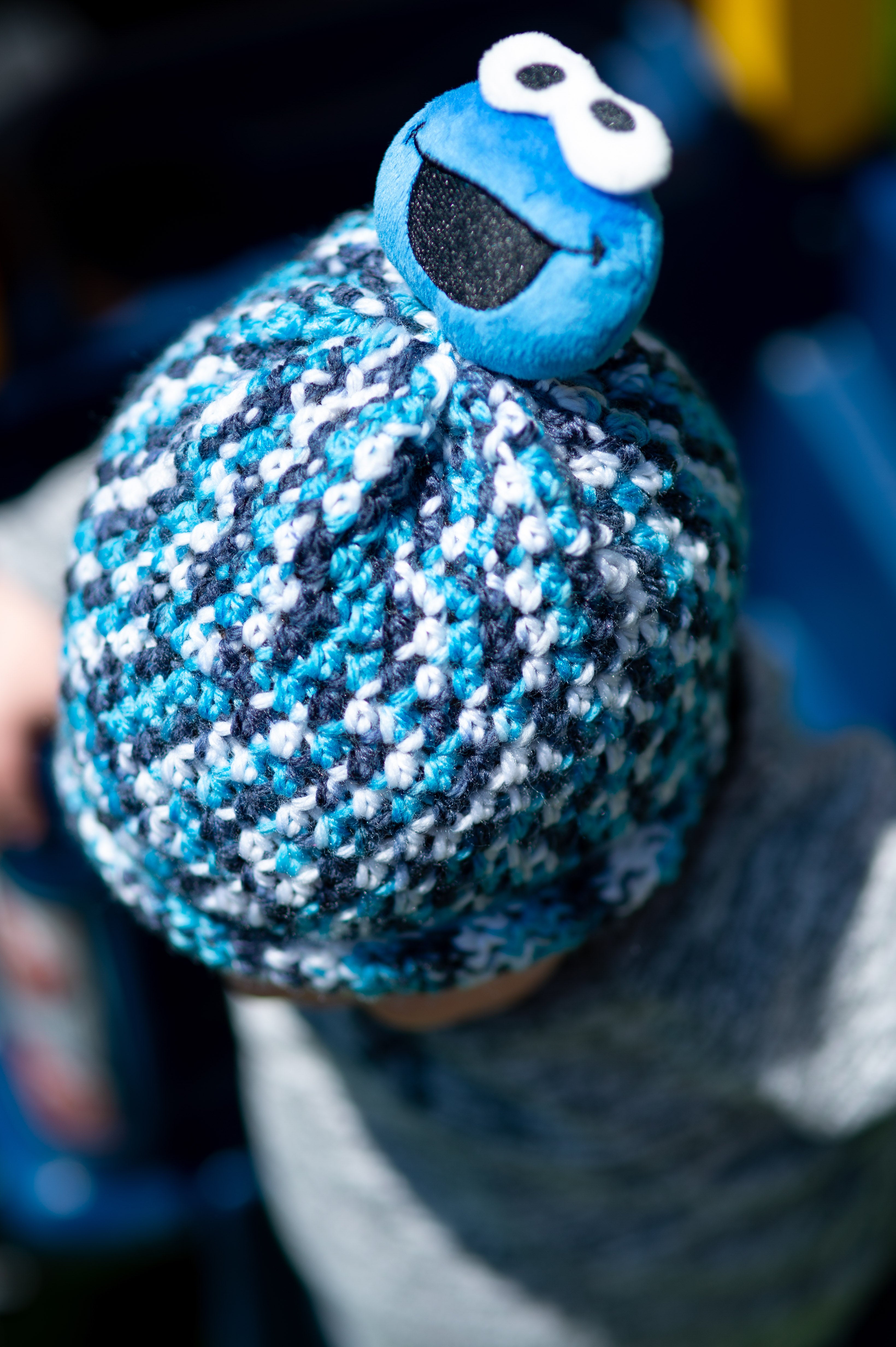 Crochet Cookie Monster Hat – Lion Brand Yarn